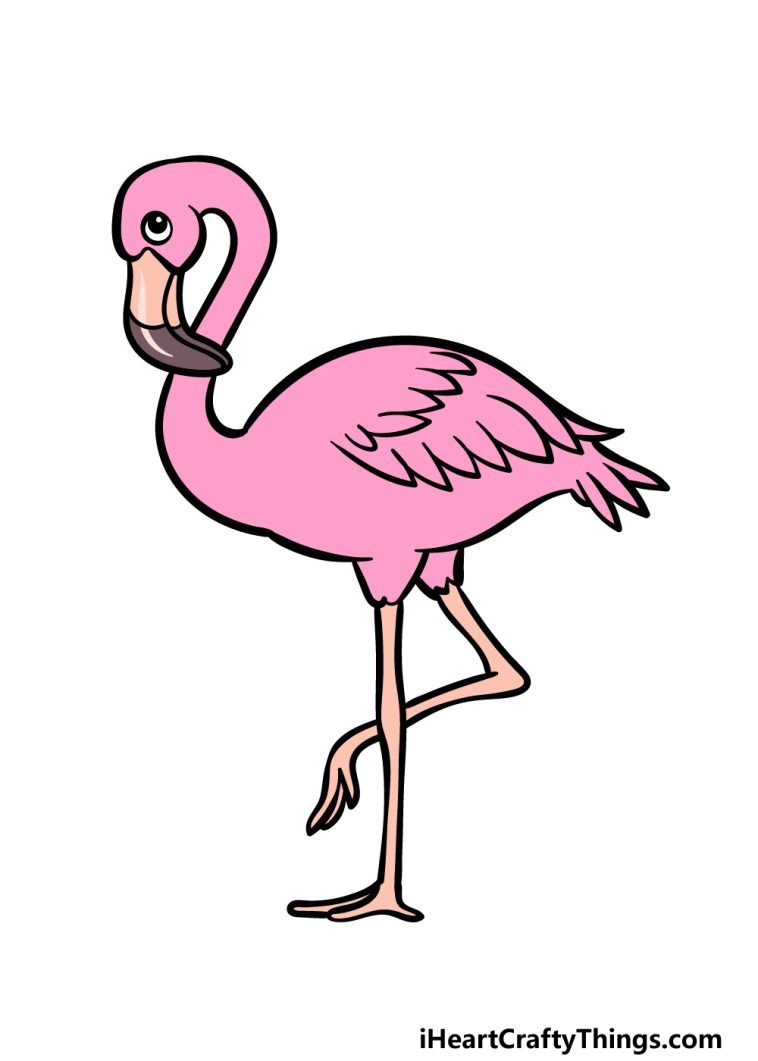 Cartoon Flamingo Drawing - How To Draw A Cartoon Flamingo Step By Step