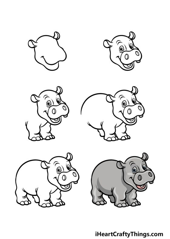 Cartoon Hippo Drawing - How To Draw A Cartoon Hippo Step By Step