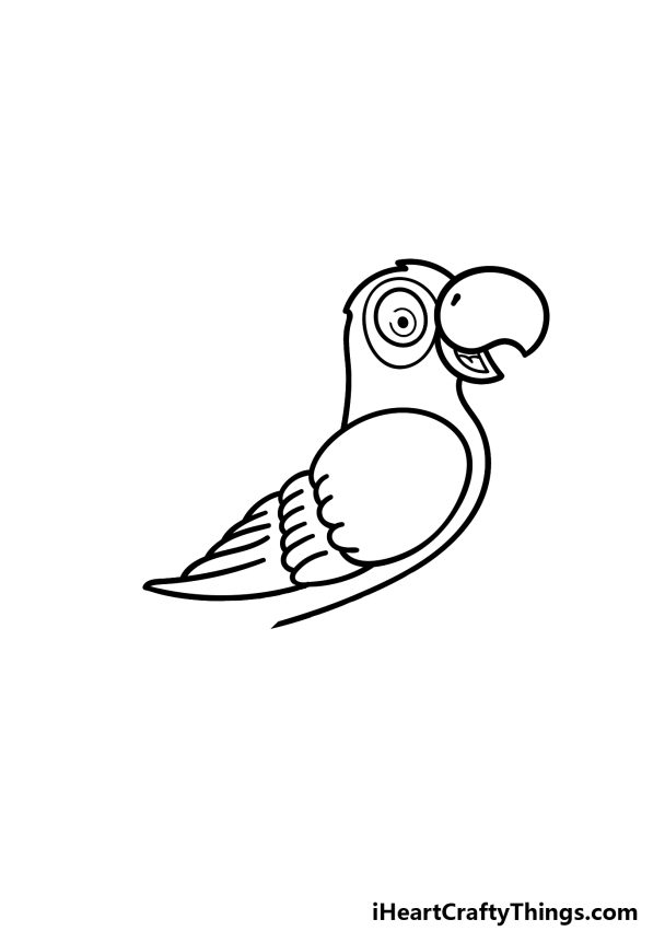 Cartoon Parrot Drawing - How To Draw A Cartoon Parrot Step By Step