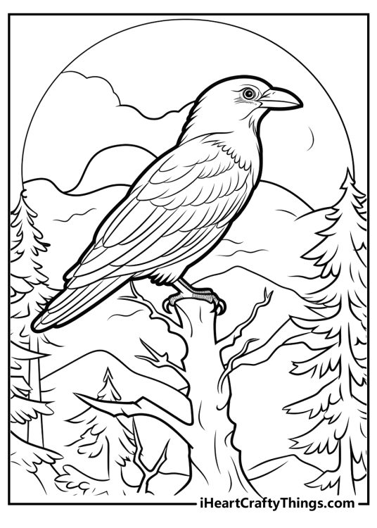 15 Raven Coloring Pages (100% Free Printables)