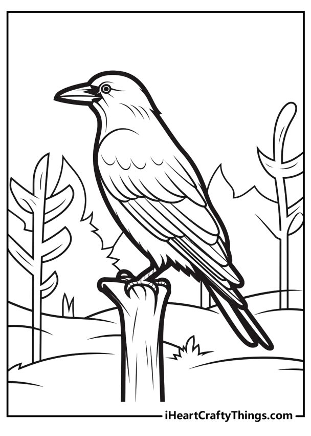 15 Raven Coloring Pages (100% Free Printables)