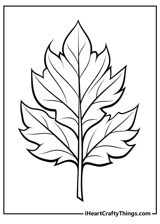 Leaf Coloring Pages (100% Free Printables)
