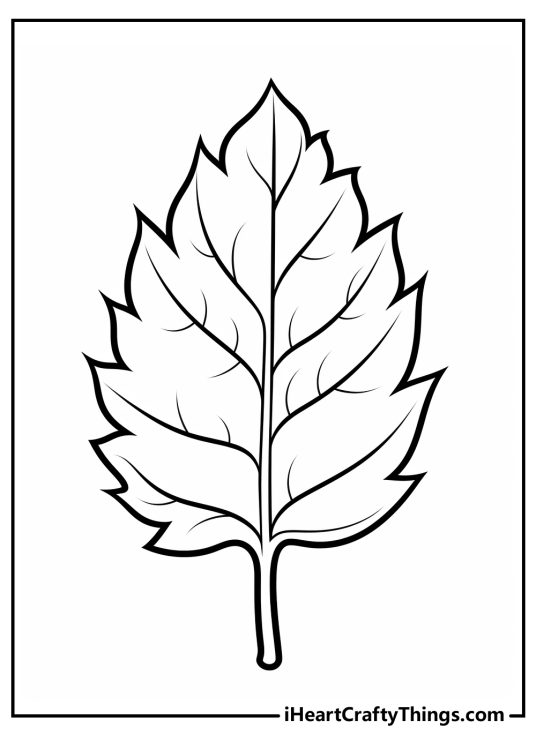 Leaf Coloring Pages (100% Free Printables)