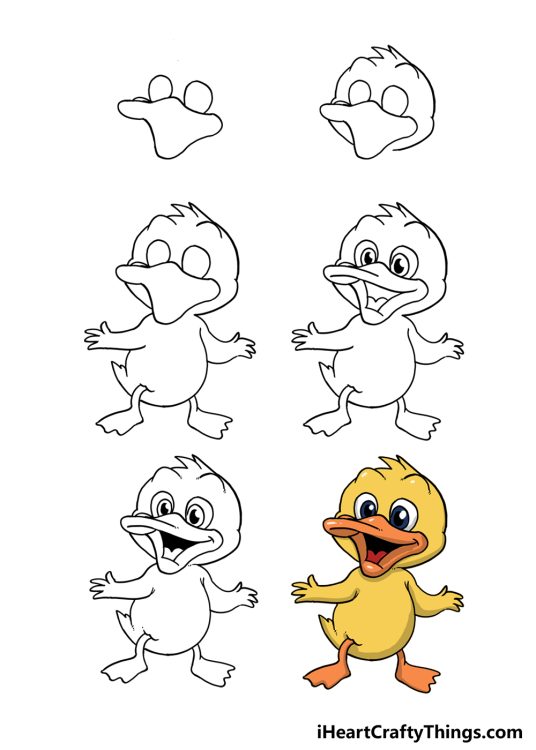 How To Draw A Cartoon Duck Step By Step!