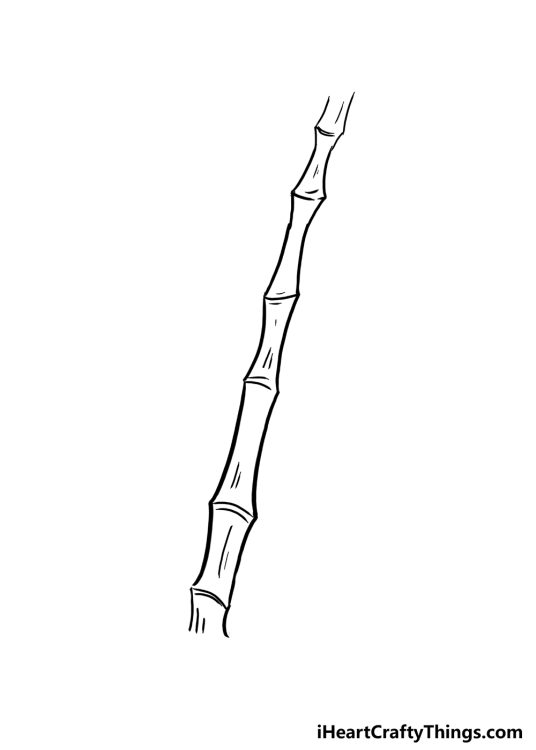 How To Draw Bamboo Step By Step!