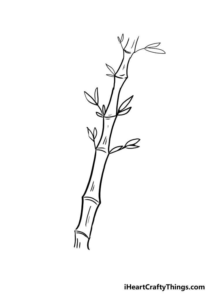 How To Draw Bamboo Step By Step!