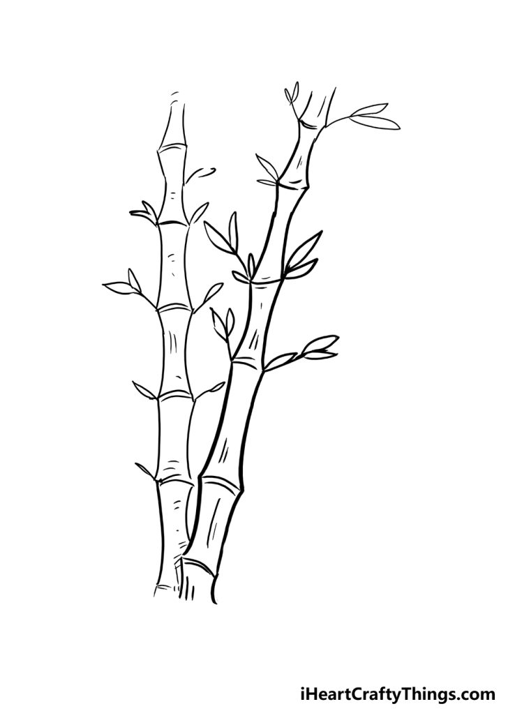 How To Draw Bamboo Step By Step!