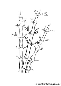 How To Draw Bamboo Step By Step!