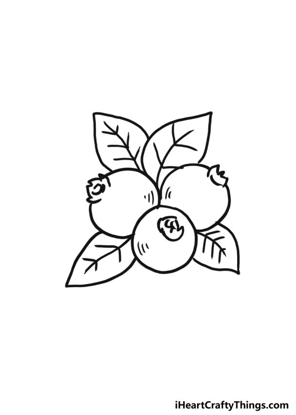 How To Draw A Blueberry Step By Step!