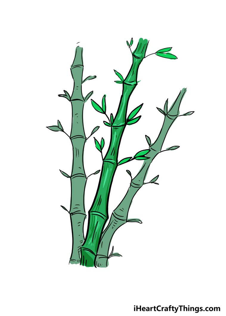 How To Draw Bamboo Step By Step!