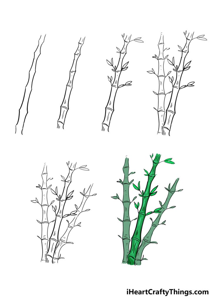 How To Draw Bamboo Step By Step!