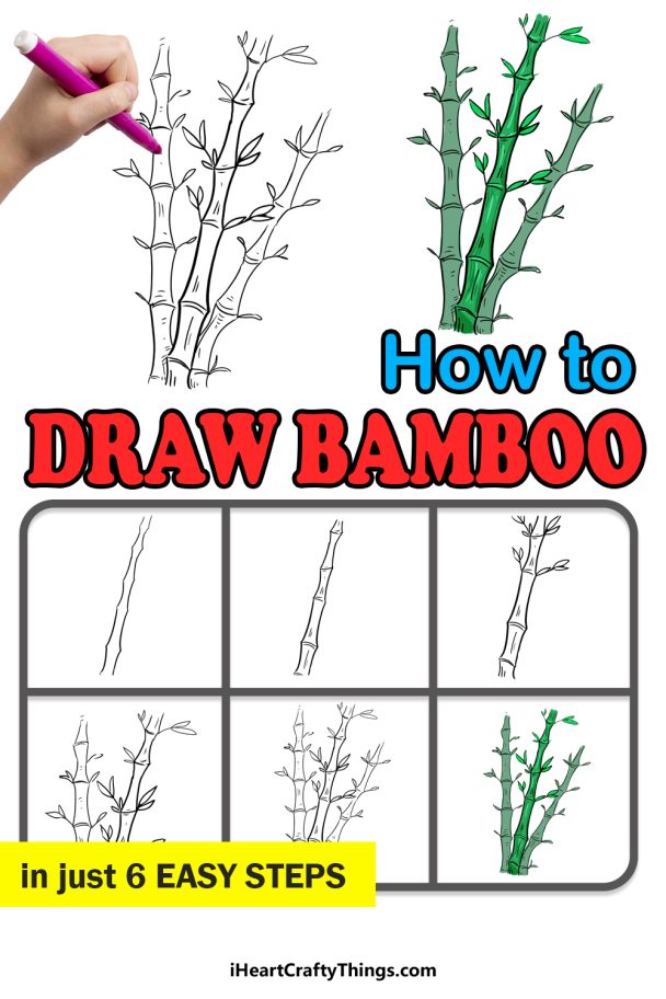 How To Draw Bamboo Step By Step!