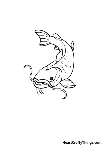 How To Draw A Catfish Step By Step!