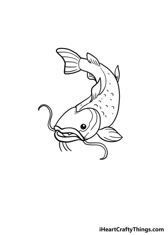 How To Draw A Catfish Step By Step!