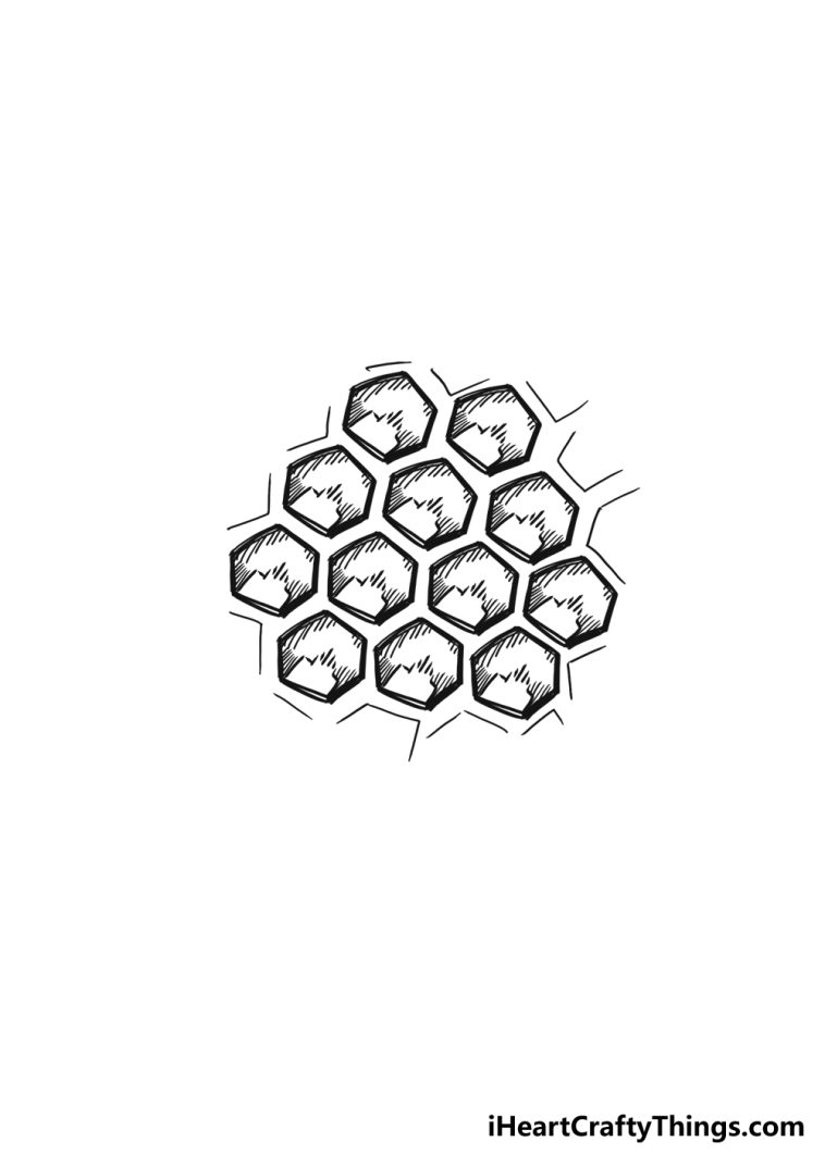 How To Draw A Honeycomb Step By Step!