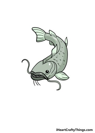 How To Draw A Catfish Step By Step!