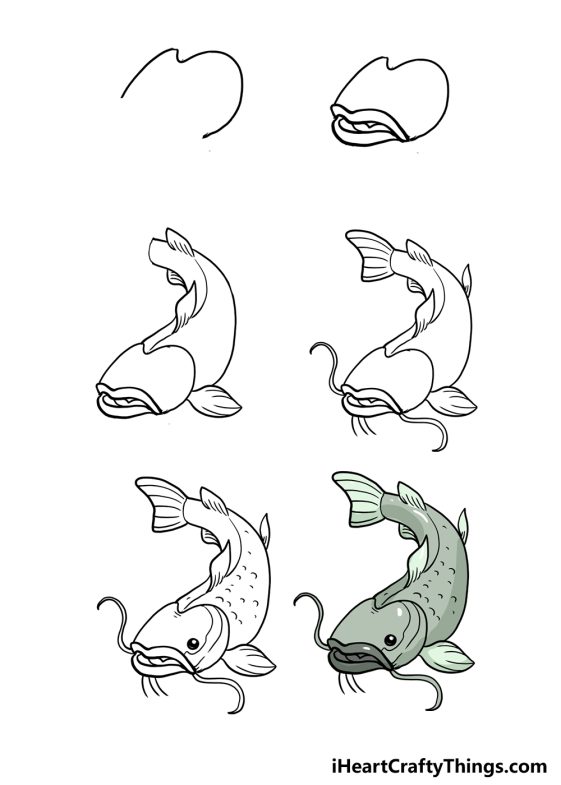 How To Draw A Catfish Step By Step!