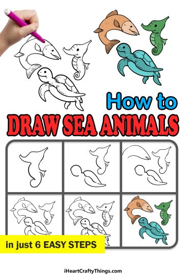 How To Draw Sea Animals Step By Step!