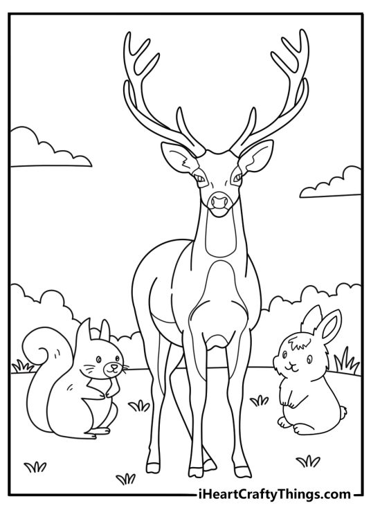 30+ Forest Animals Coloring Pages (100% Free Printables)