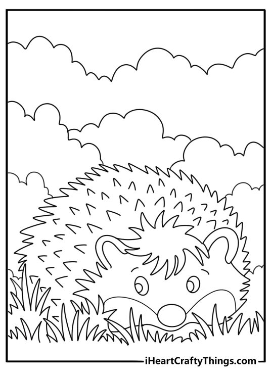 30+ Hedgehog Coloring Pages (Printable PDF Sheets For Free)