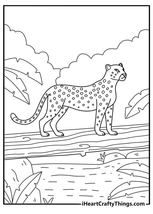 Leopard Coloring Pages (30+ Free PDF Printables For Kids)