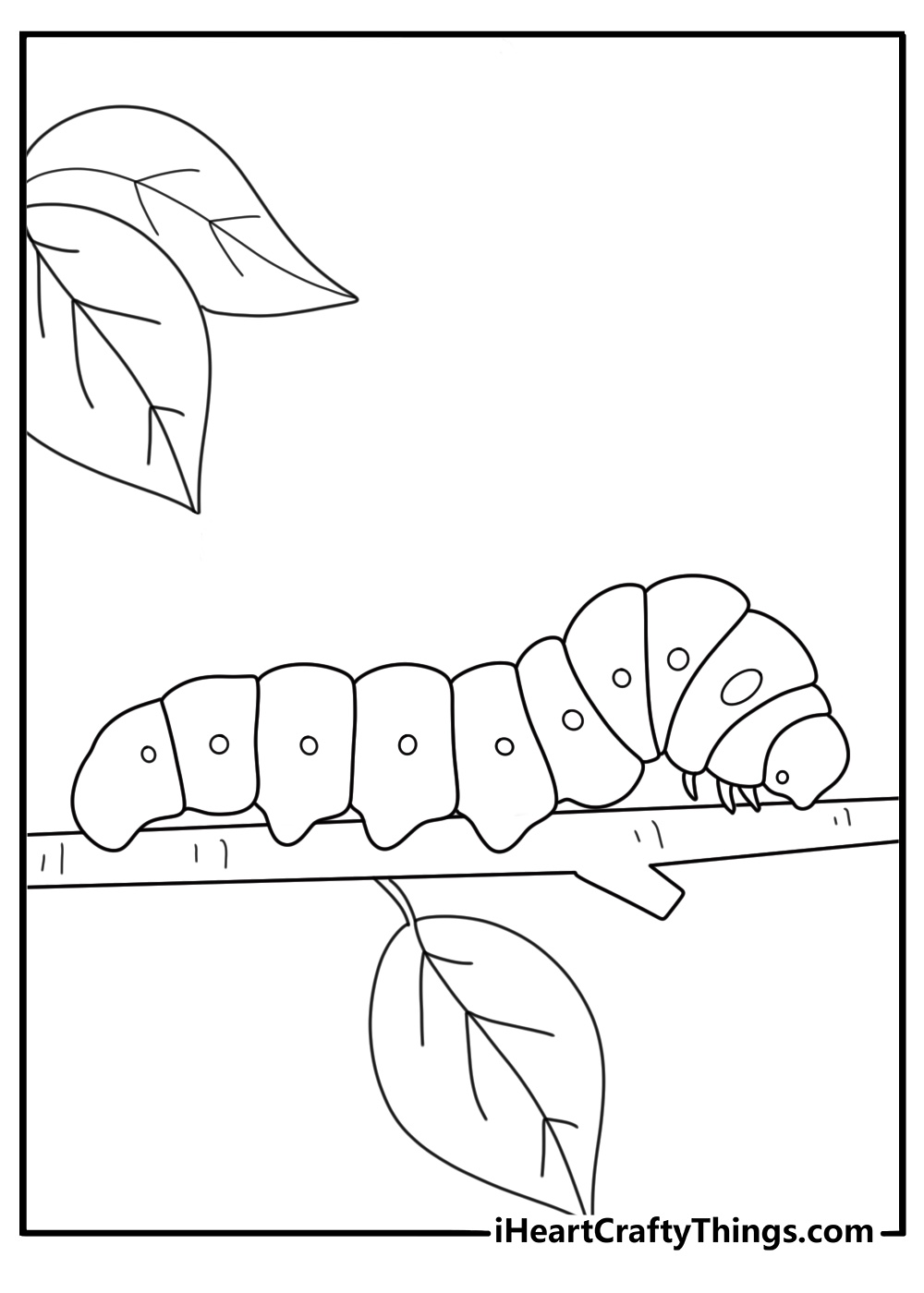20 Free Insect Coloring Pages (Printable PDF Sheets)
