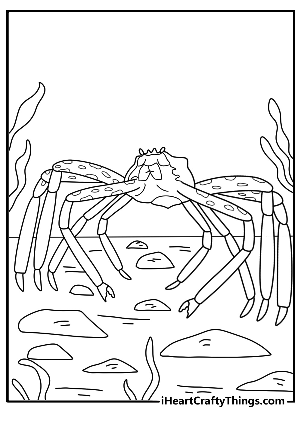 30 Free Crab Coloring Pages (Easy Printable PDF Sheets)