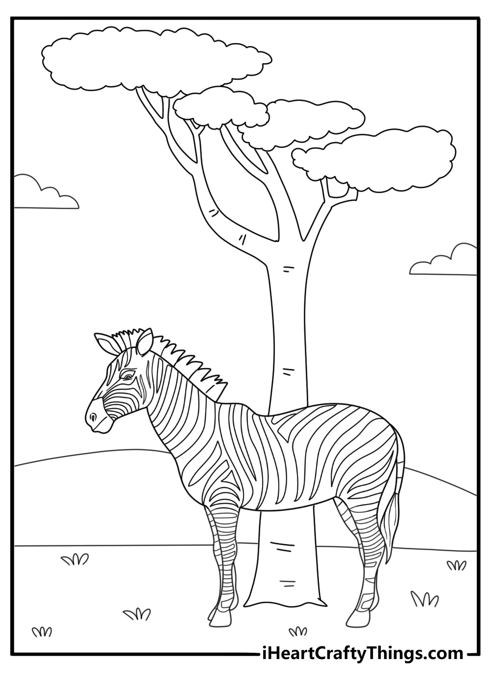 Zebra Coloring Pages: 21 Free Printables For Kids