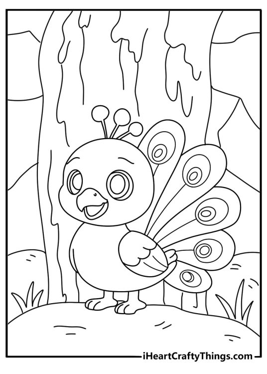 26 Free Peacock Coloring Pages (Easy PDF Printables)