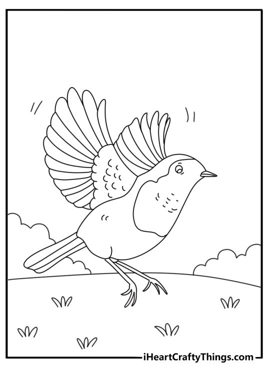 30 Free Robin Coloring Pages (Easy PDF Printables For Kids)