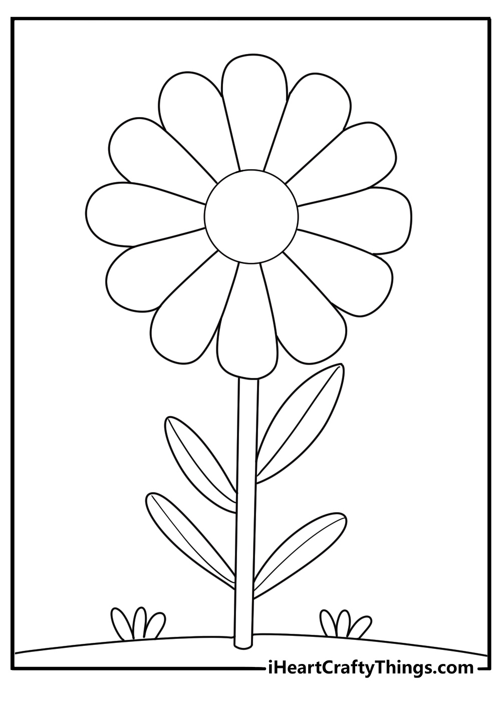 40+ Daisy Flower Coloring Pages (Printable PDFs For Free)