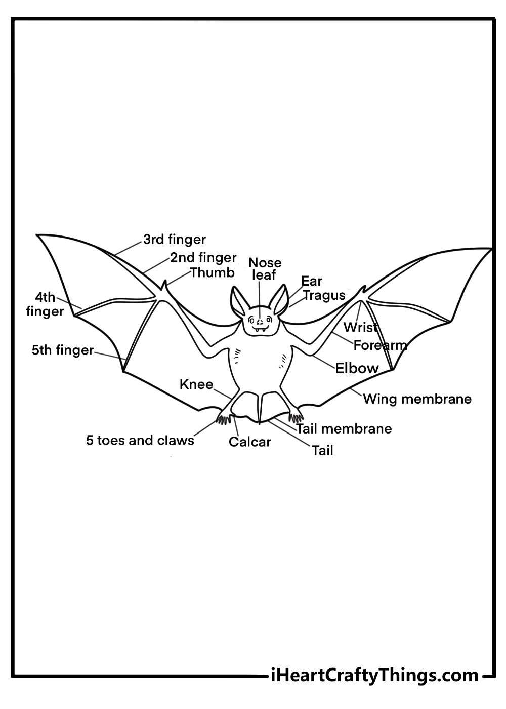 30+ Bat Coloring Pages: Printable PDFs For Free Download