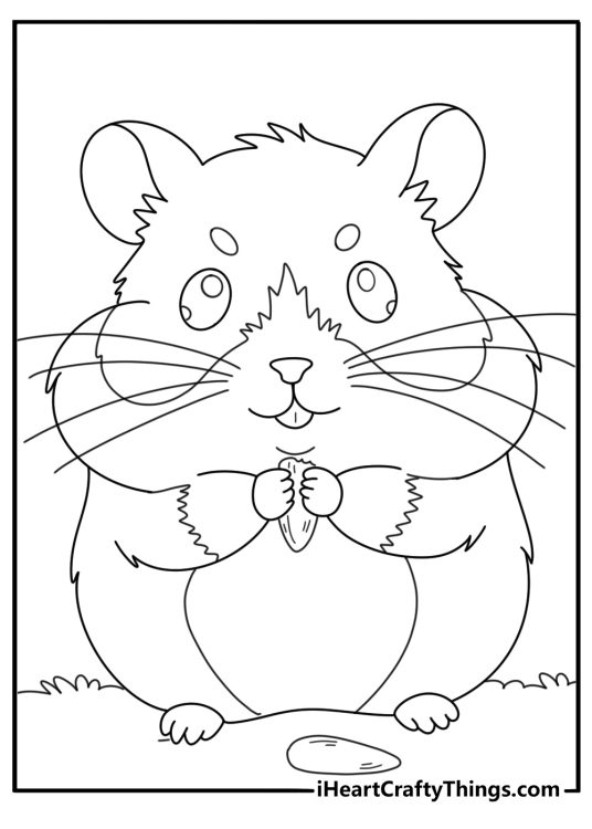 41 Free Hamster Coloring Pages (Easy Printable PDF Sheets)