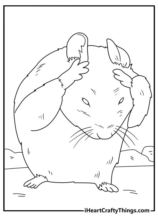 41 Free Hamster Coloring Pages (Easy Printable PDF Sheets)
