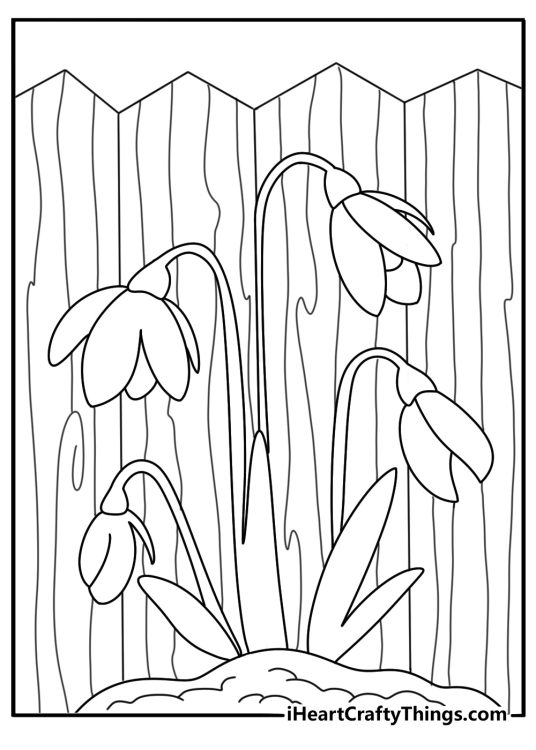 February Coloring Pages (30+ Free PDF Printables)