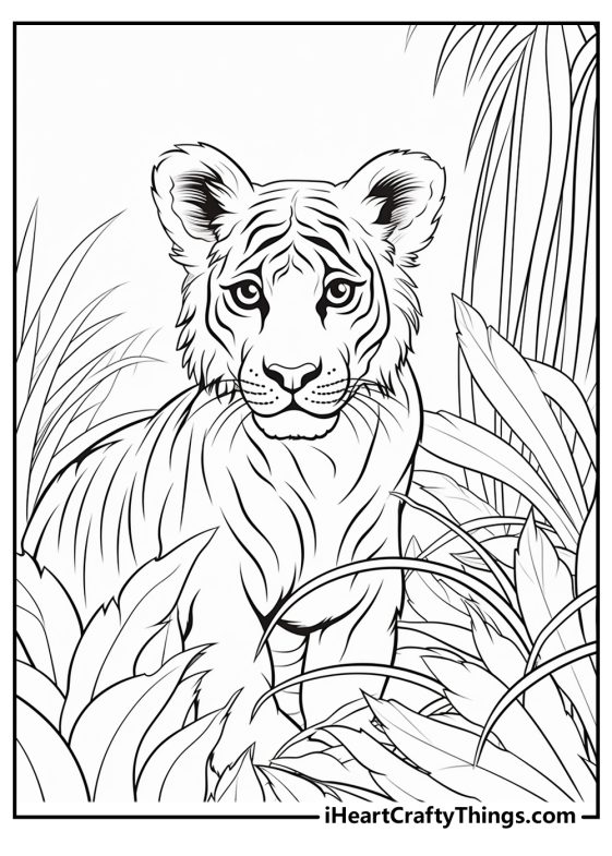 15 Jungle Coloring Pages (100% Free Printables)