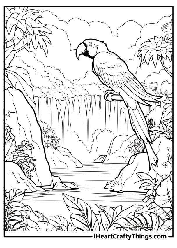 15 Jungle Coloring Pages (100% Free Printables)