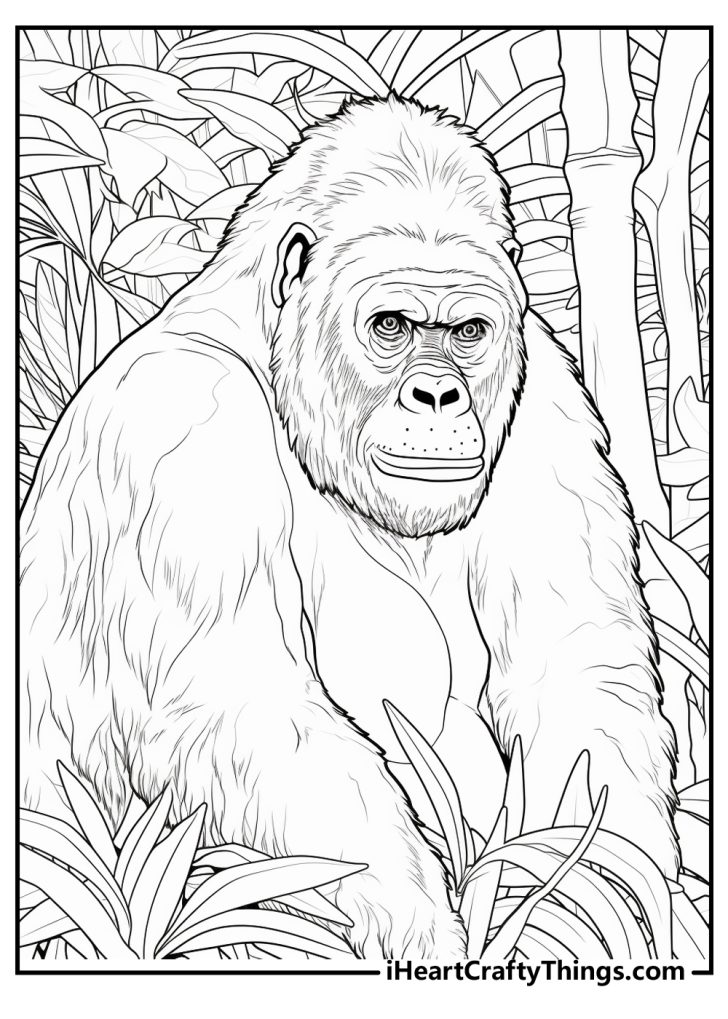 15 Jungle Coloring Pages (100% Free Printables)