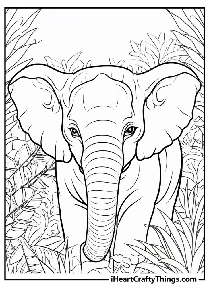 15 Jungle Coloring Pages (100% Free Printables)