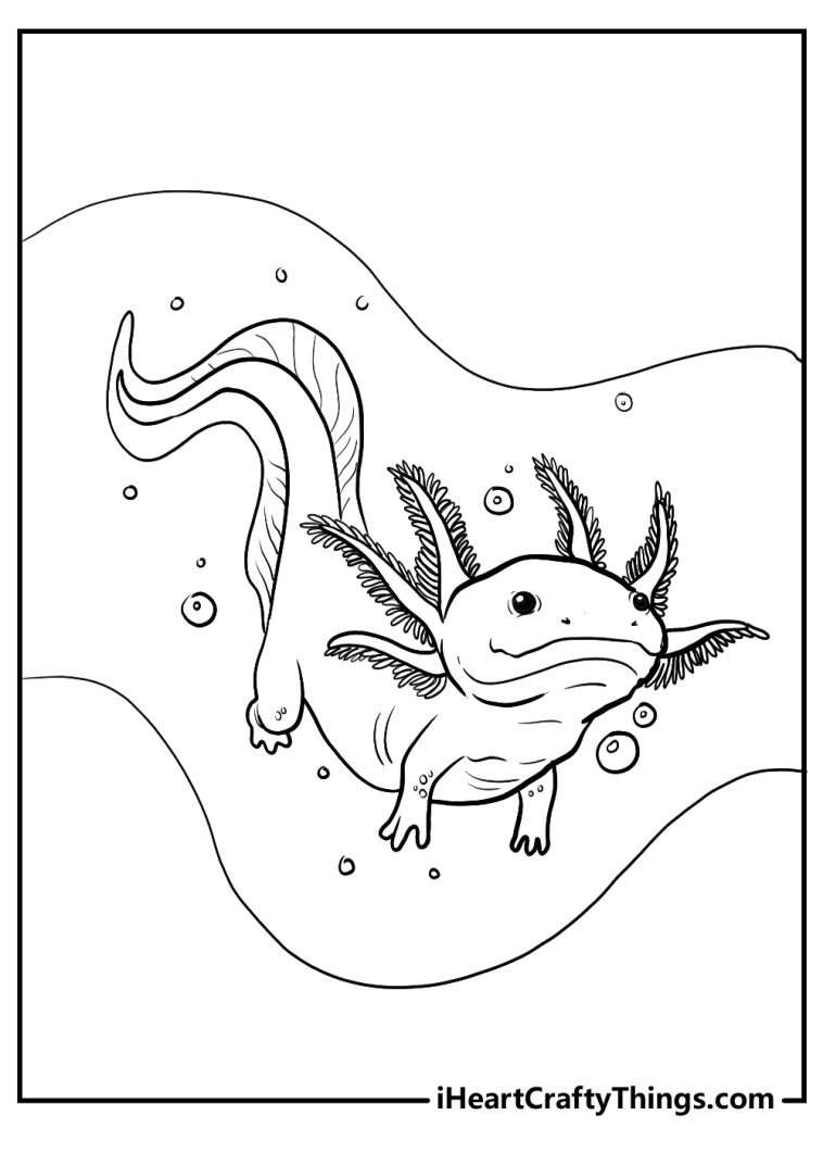 15 Axolotl Coloring Pages (Free Printable PDFs)