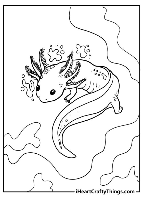 15 Axolotl Coloring Pages (Free Printable PDFs)