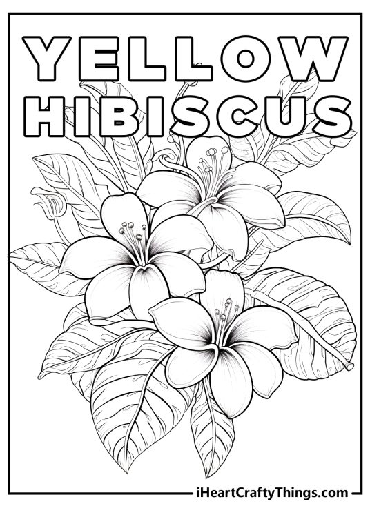 15 Hawaii Coloring Pages For Kids (100% Free PDF Printables)