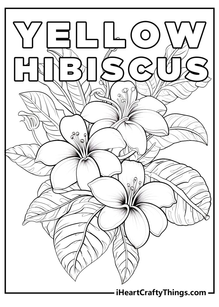 15 Hawaii Coloring Pages For Kids (100% Free PDF Printables)