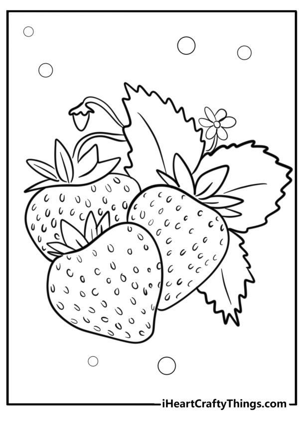 20 Strawberry Coloring Pages - Free PDF Printables For Kids