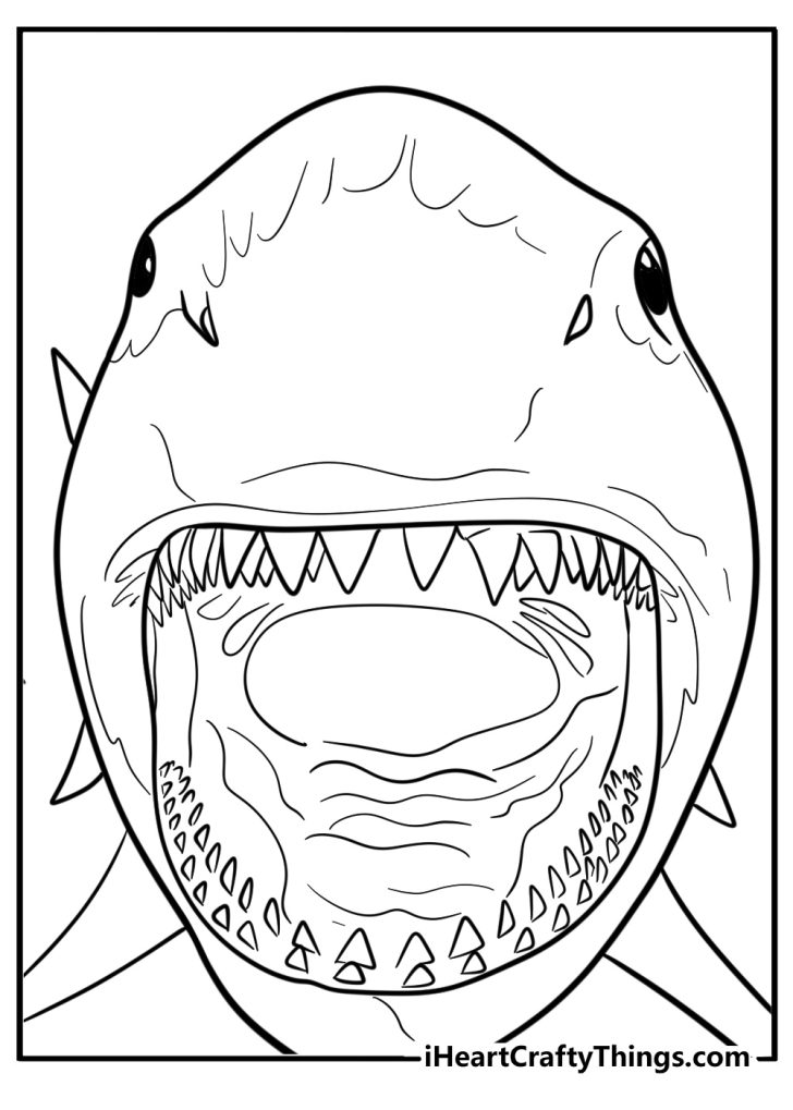 31 New Megalodon Coloring Pages (100% Free To Print)