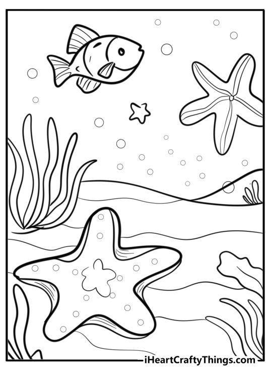 31 Free Starfish Coloring Pages (Easy PDF Printables)