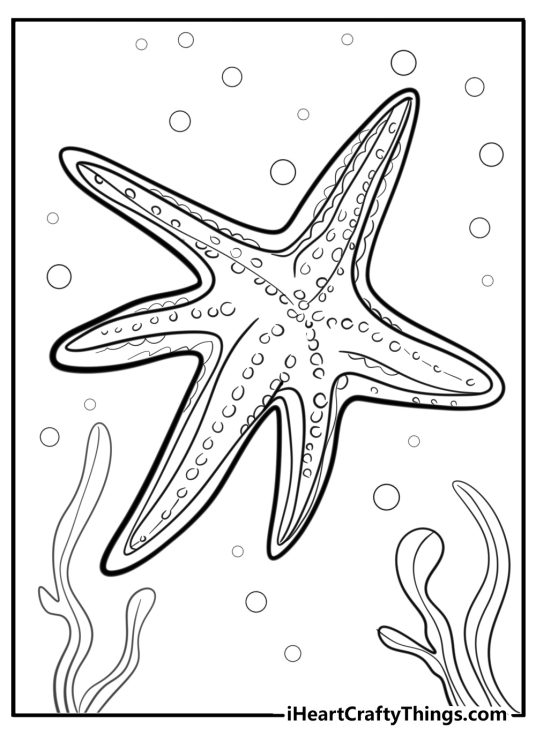 31 Free Starfish Coloring Pages (Easy PDF Printables)