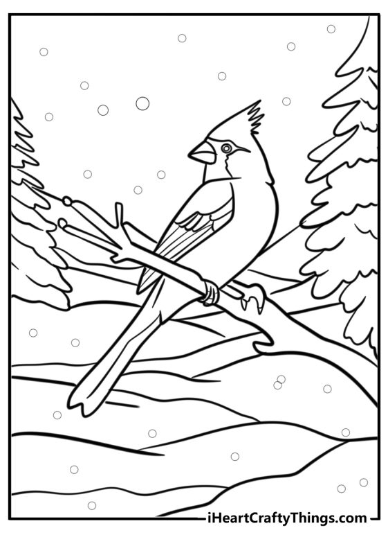 25 New Cardinal Coloring Pages (100% Free To Print)