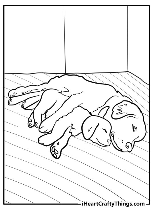 35 Free Golden Retriever Coloring Pages: Printable PDF Sheets