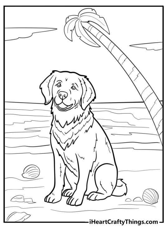 35 Free Golden Retriever Coloring Pages: Printable PDF Sheets